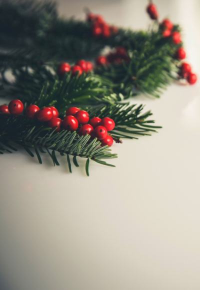 Previa Natural Haircare